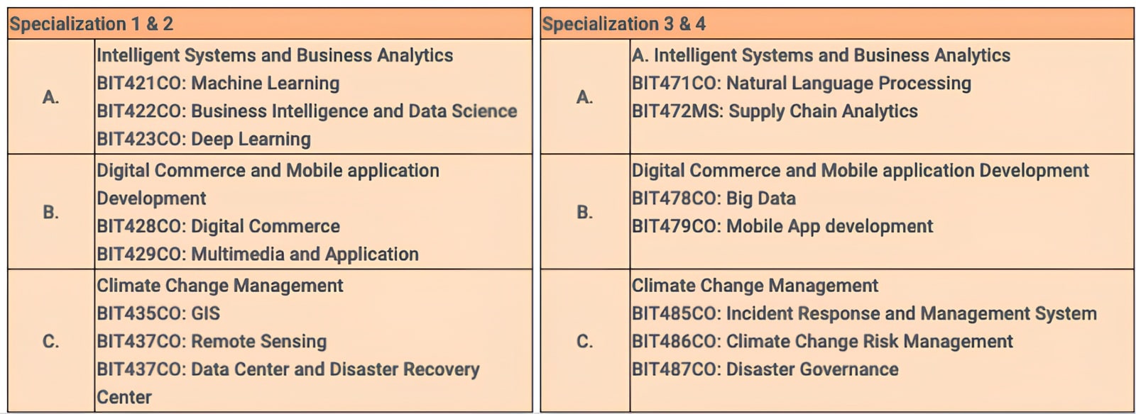 Bachelor of Information Technology-BIT – Birgunj Public College